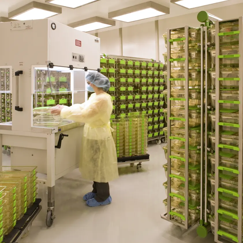 Baylor Alkek - LAB | Lord Aeck Sargent